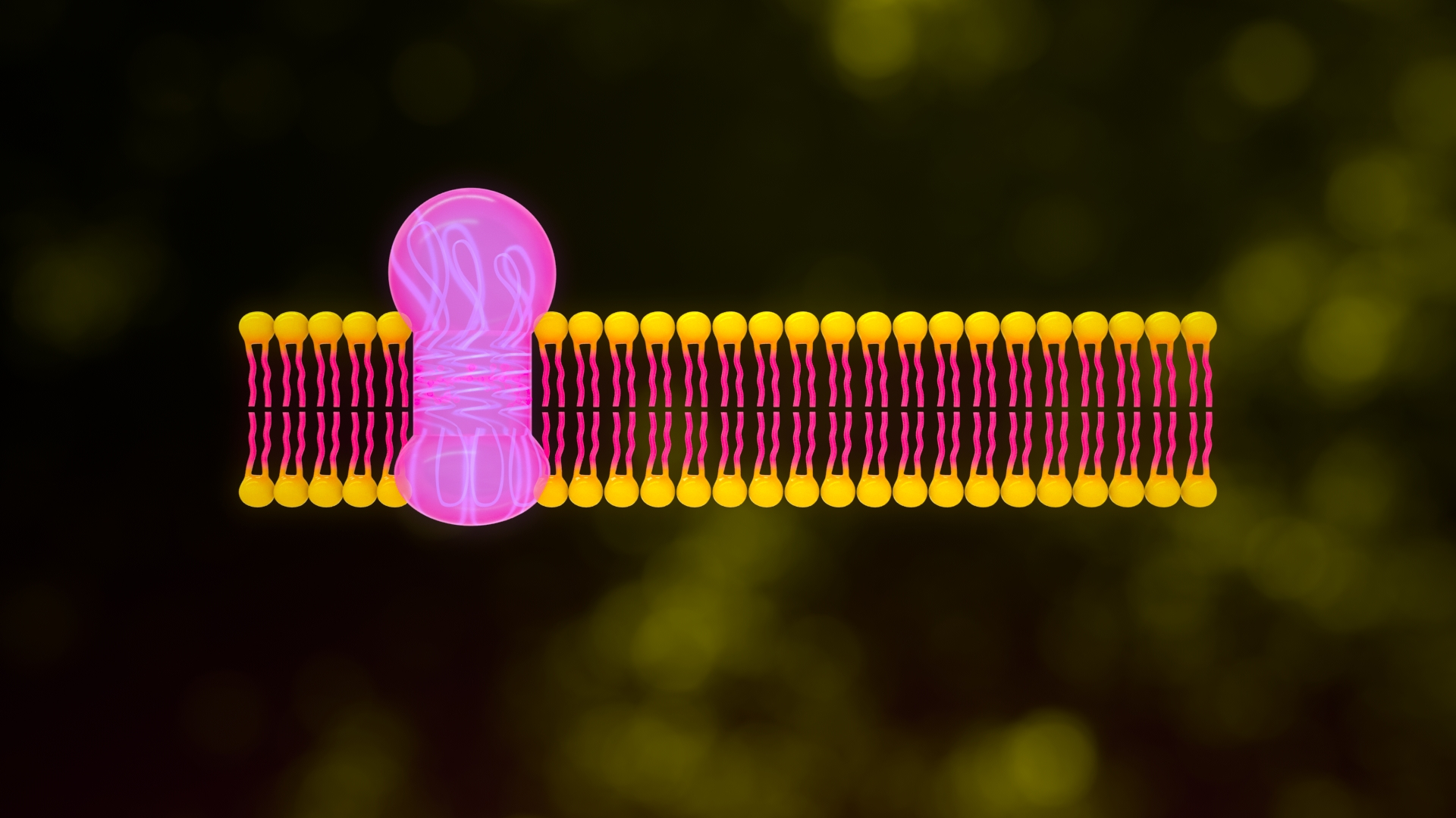 Rhodopsin Visual Purple 3D Model - TurboSquid 2187558