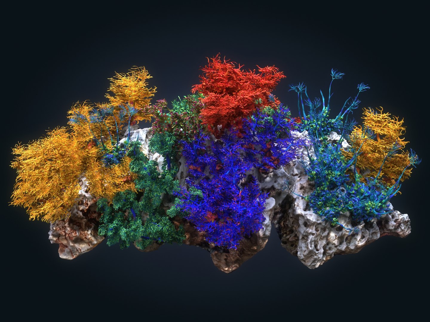 3D Coral Reef Ecosystem Pack 2 - TurboSquid 1366500
