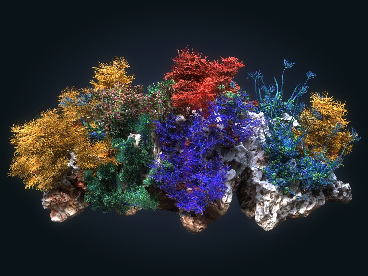 3D Coral Reef Ecosystem Pack 2 - TurboSquid 1366500