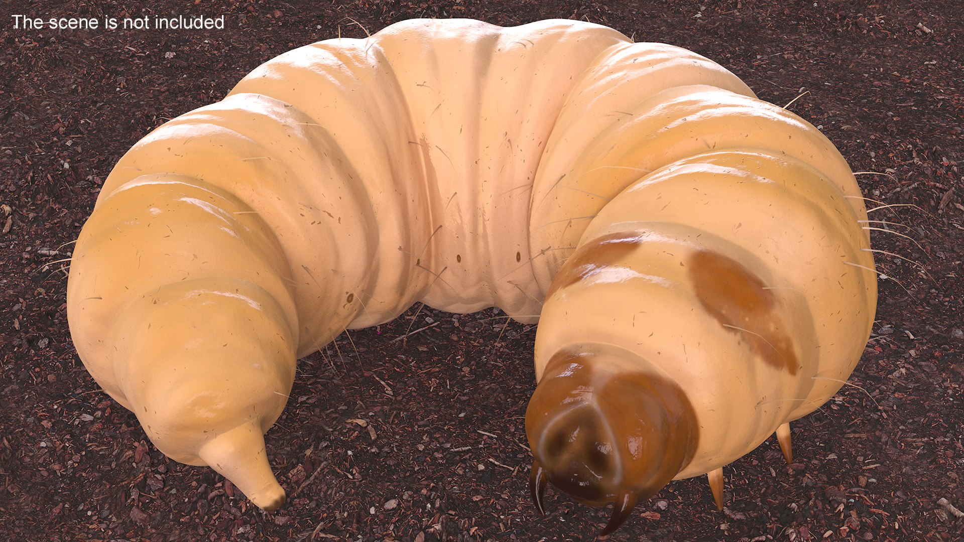 Maggot Fly Rigged Fur 3D - TurboSquid 2164581