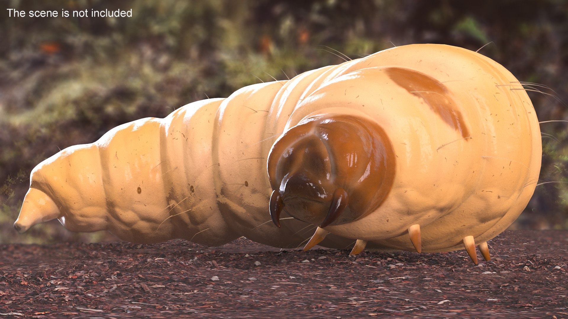 Maggot Fly Rigged Fur 3D - TurboSquid 2164581