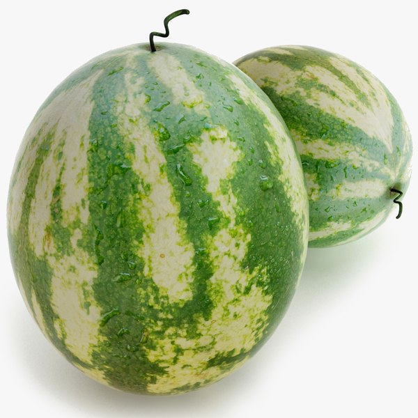 3d model watermelon games ready
