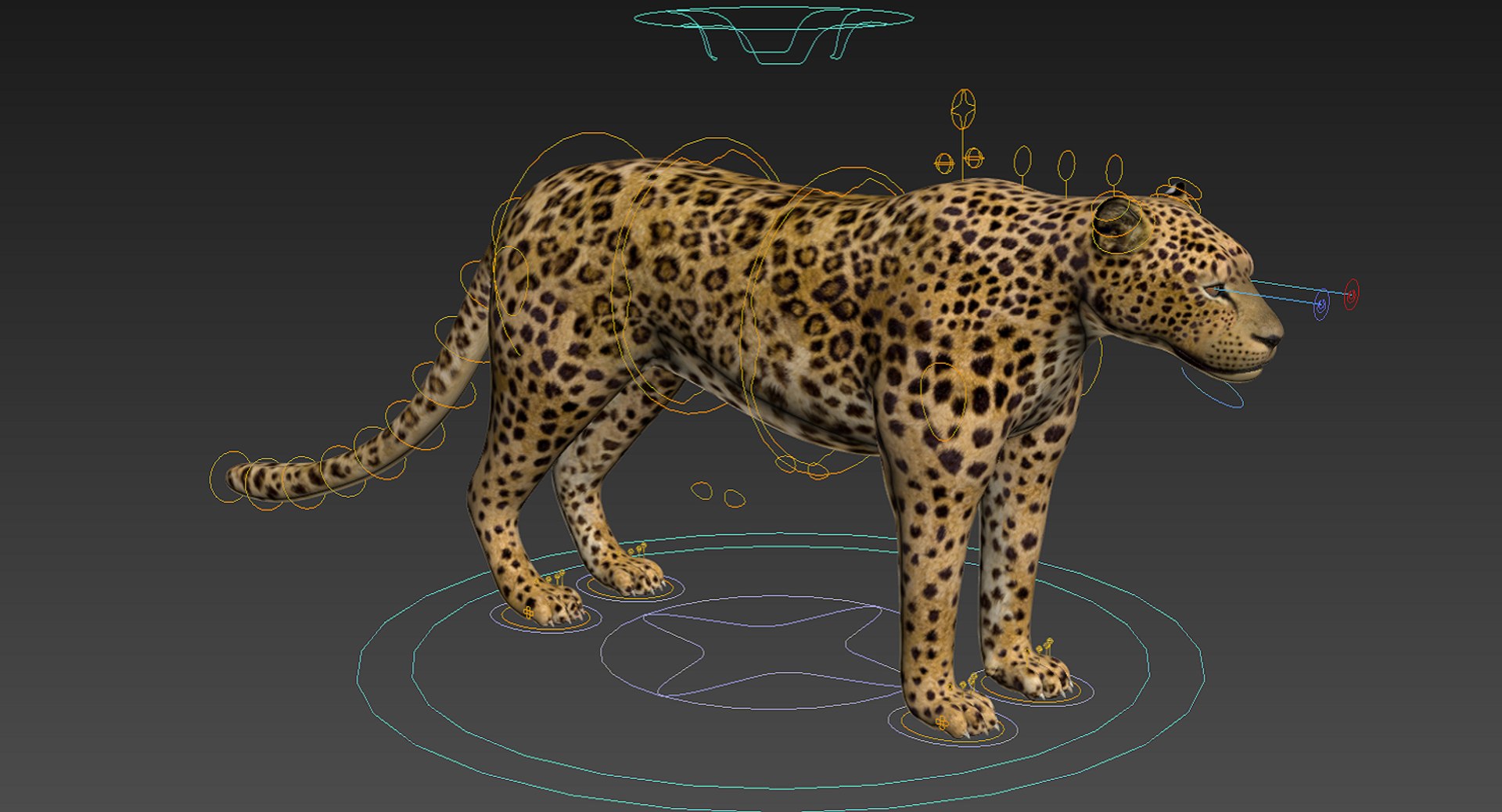 Leopard Rigged 3D Model - TurboSquid 1242663