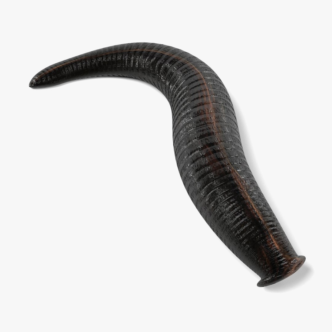 Leech Hirudo Medicinalis 3ds