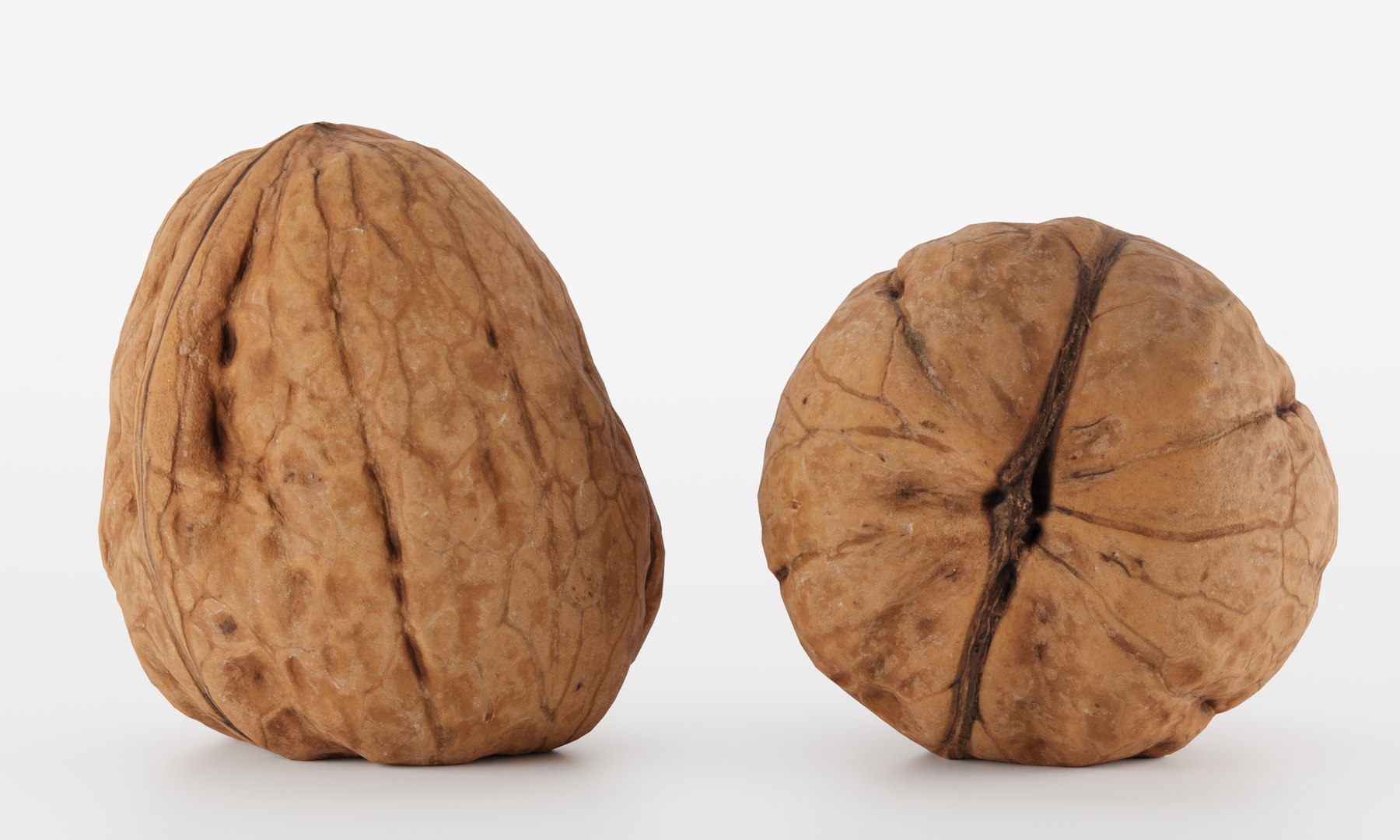 Nuts Collection 3D Model - TurboSquid 2110510