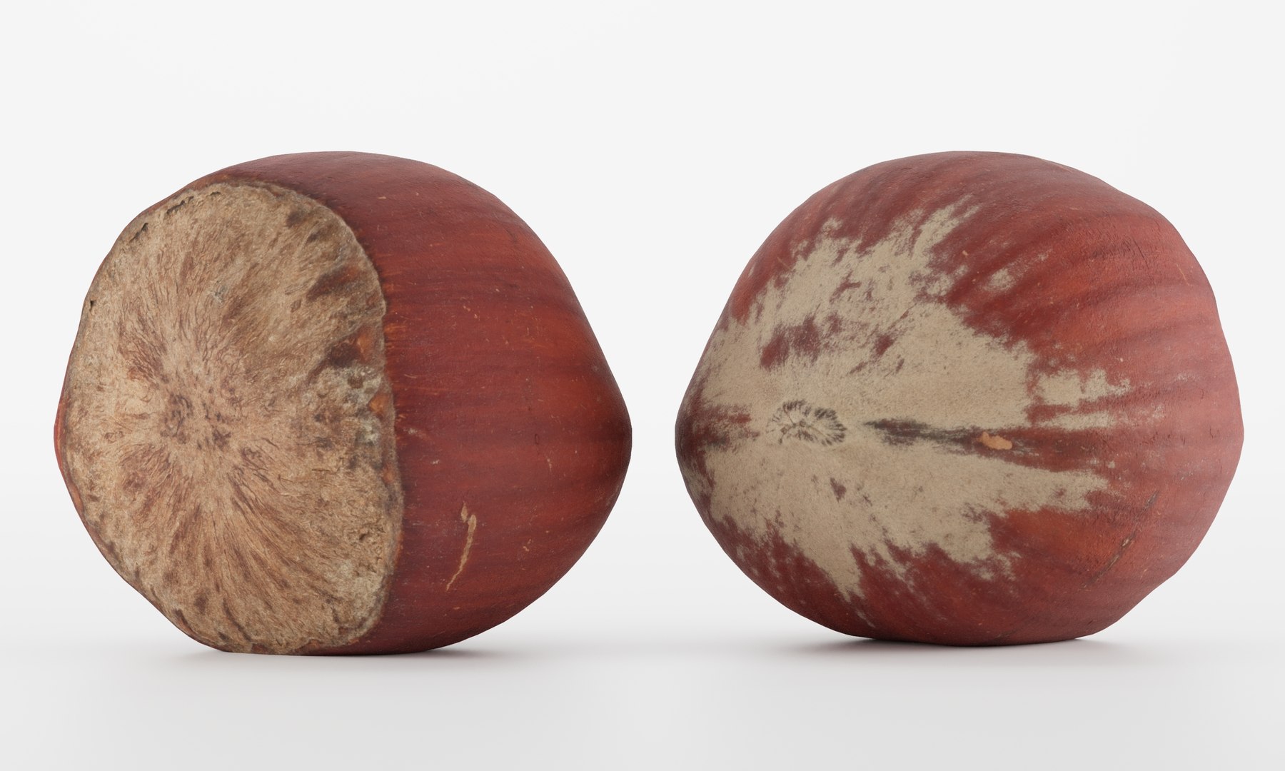 Nuts Collection 3D Model - TurboSquid 2110510