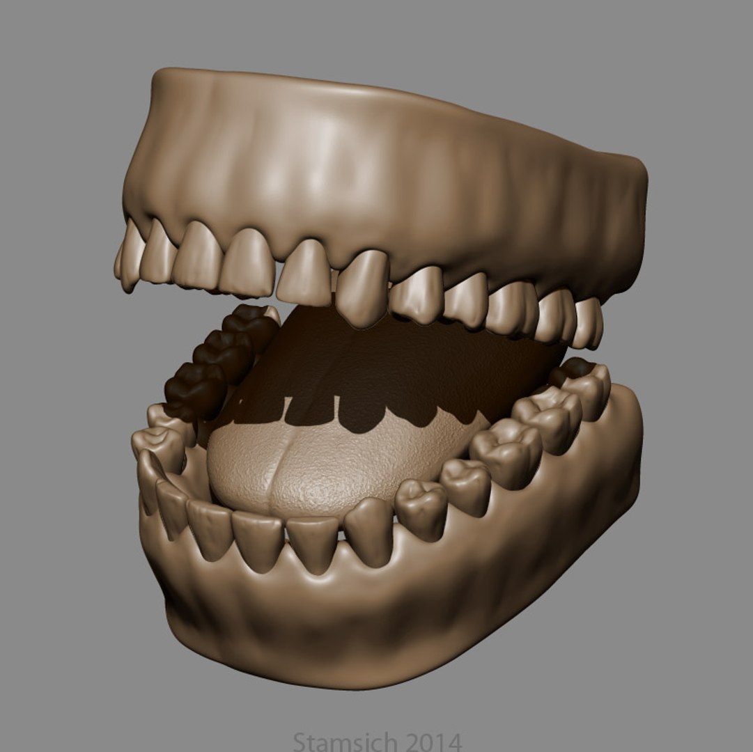Sculpt Teeth 3d Max