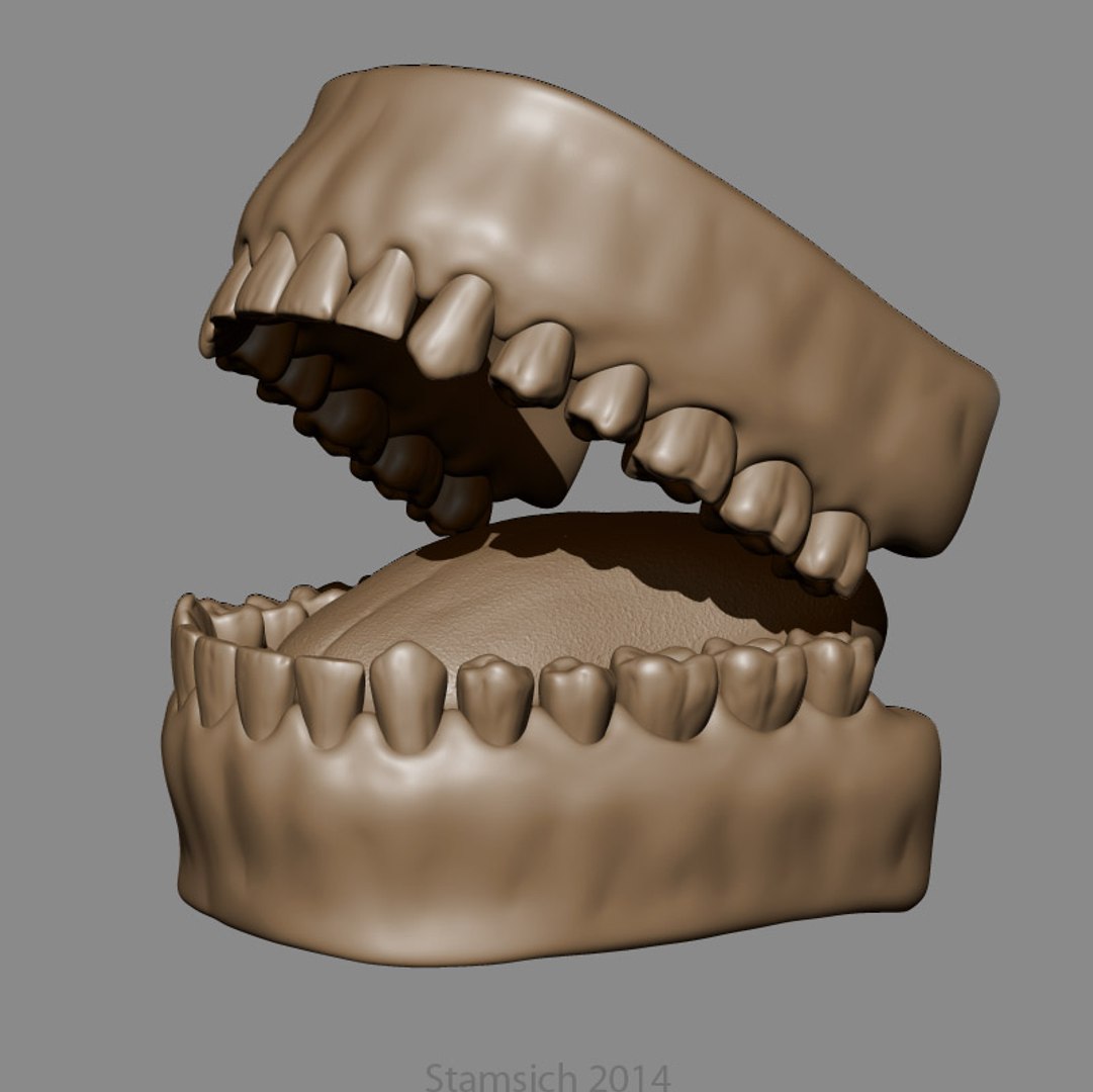 sculpt teeth 3d max