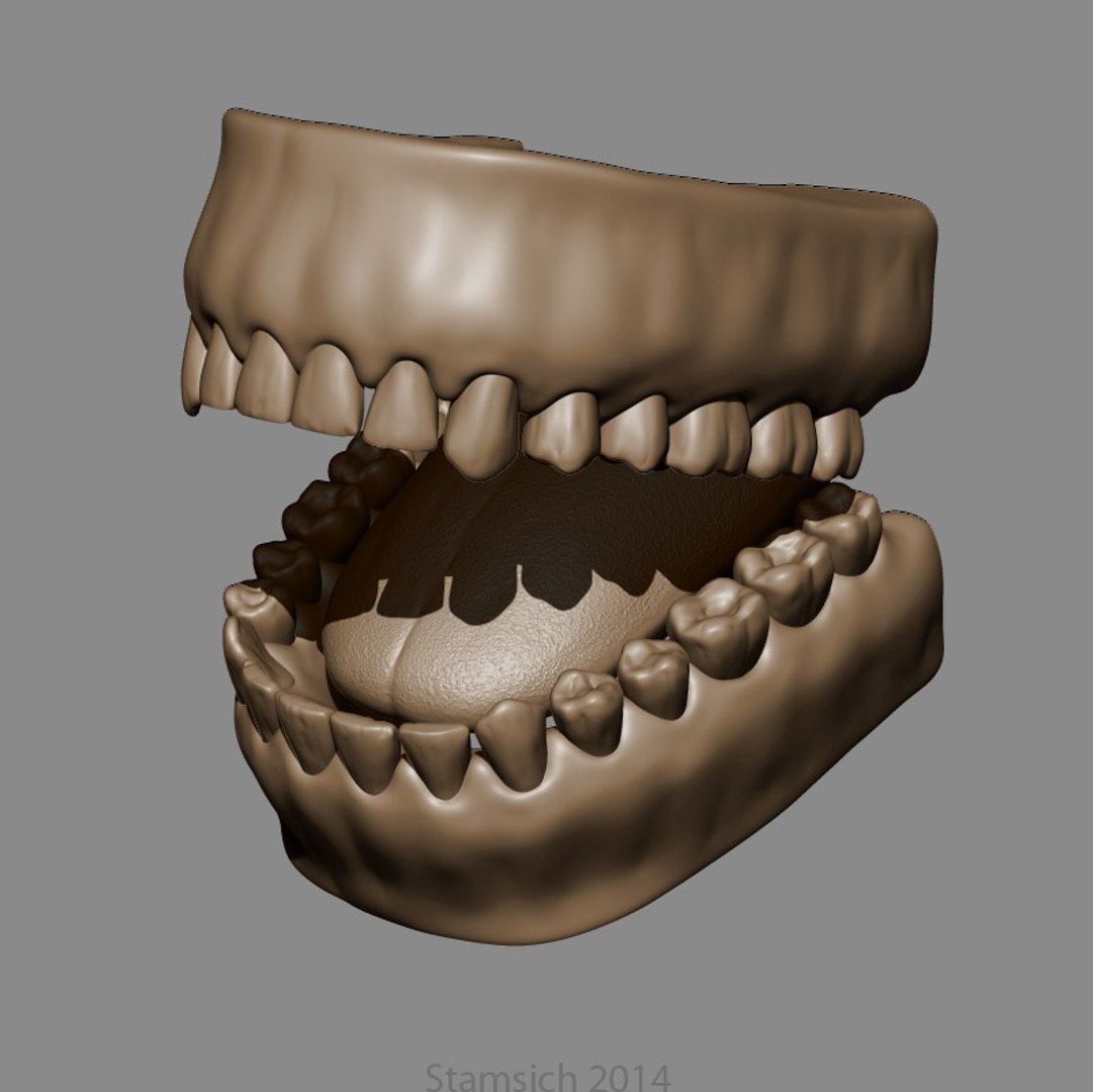 Sculpt Teeth 3d Max