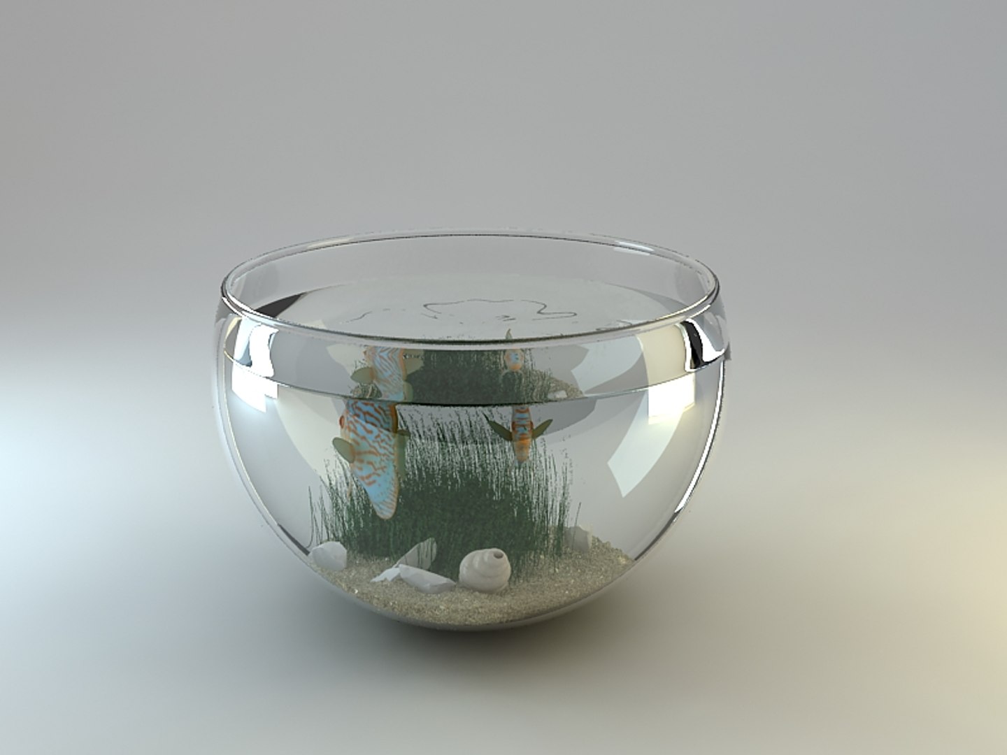 Fish Fishbowl 3d Model