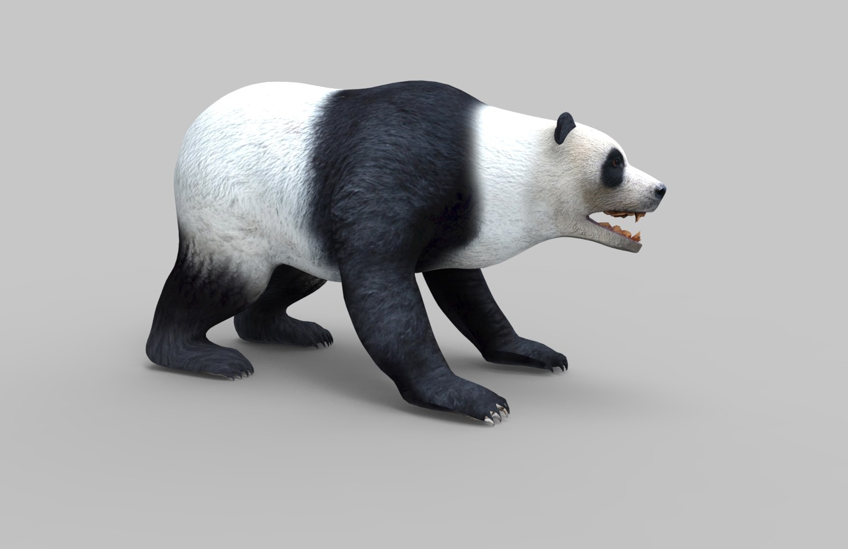 3D Bear Rigged Model - TurboSquid 1254568