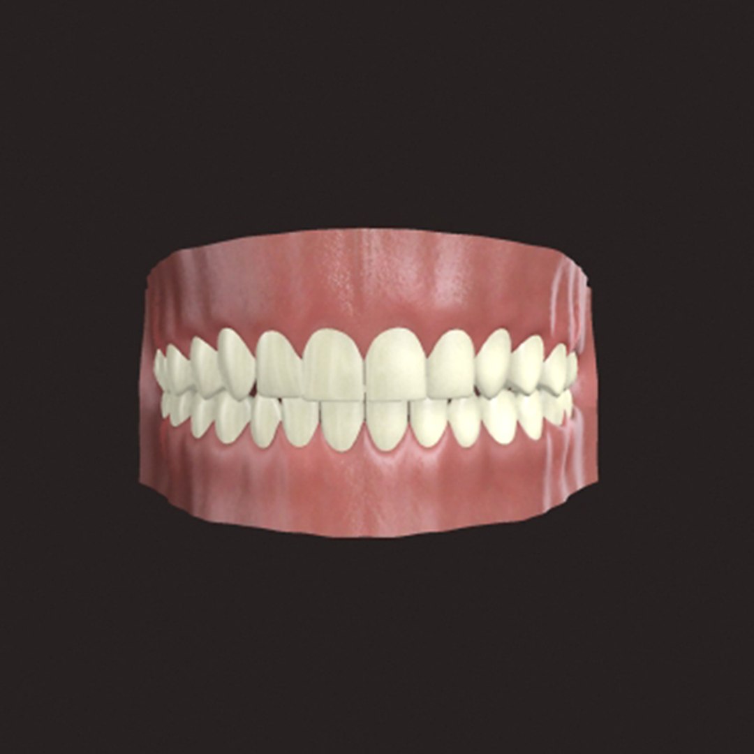 3d Gums Tongue Model