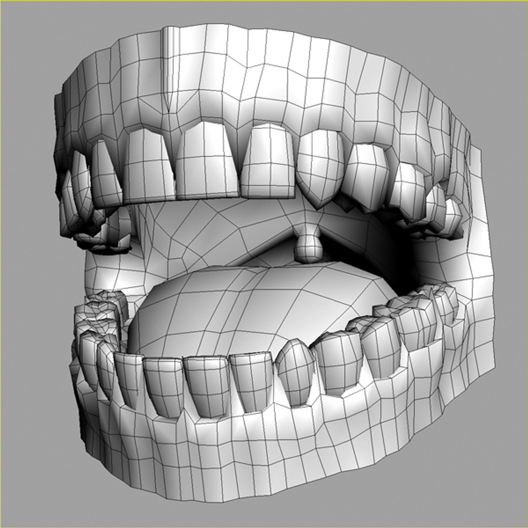 3d Gums Tongue Model