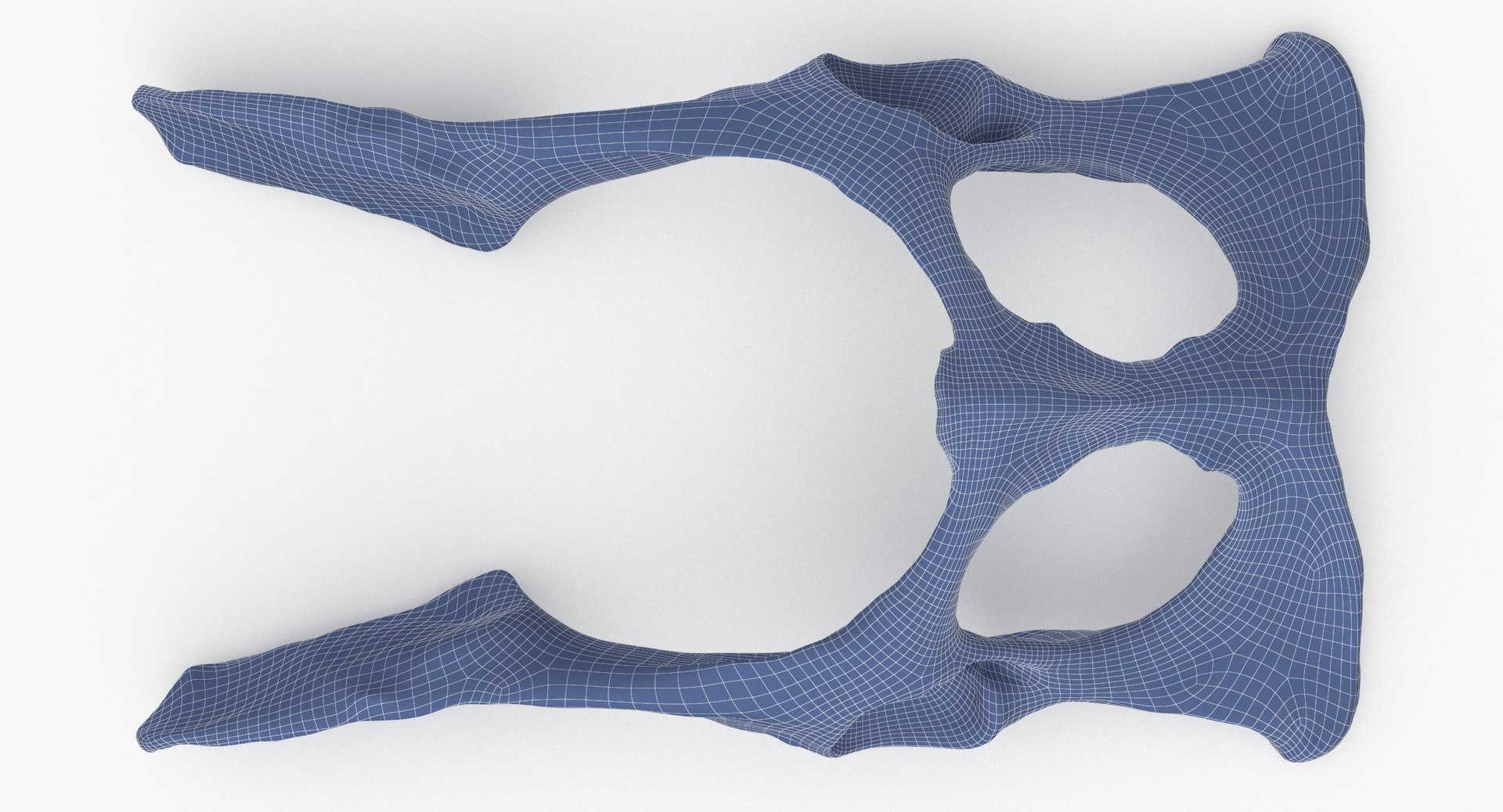 Domestic Cat Pelvis Bone 01 3d Model Turbosquid 1919576