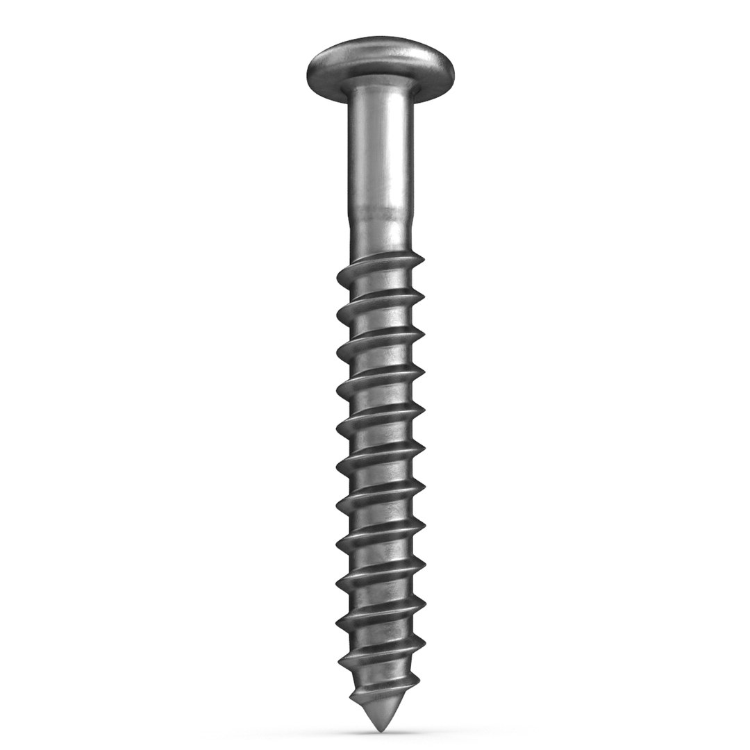 Head Screw 3D Model - TurboSquid 1193333