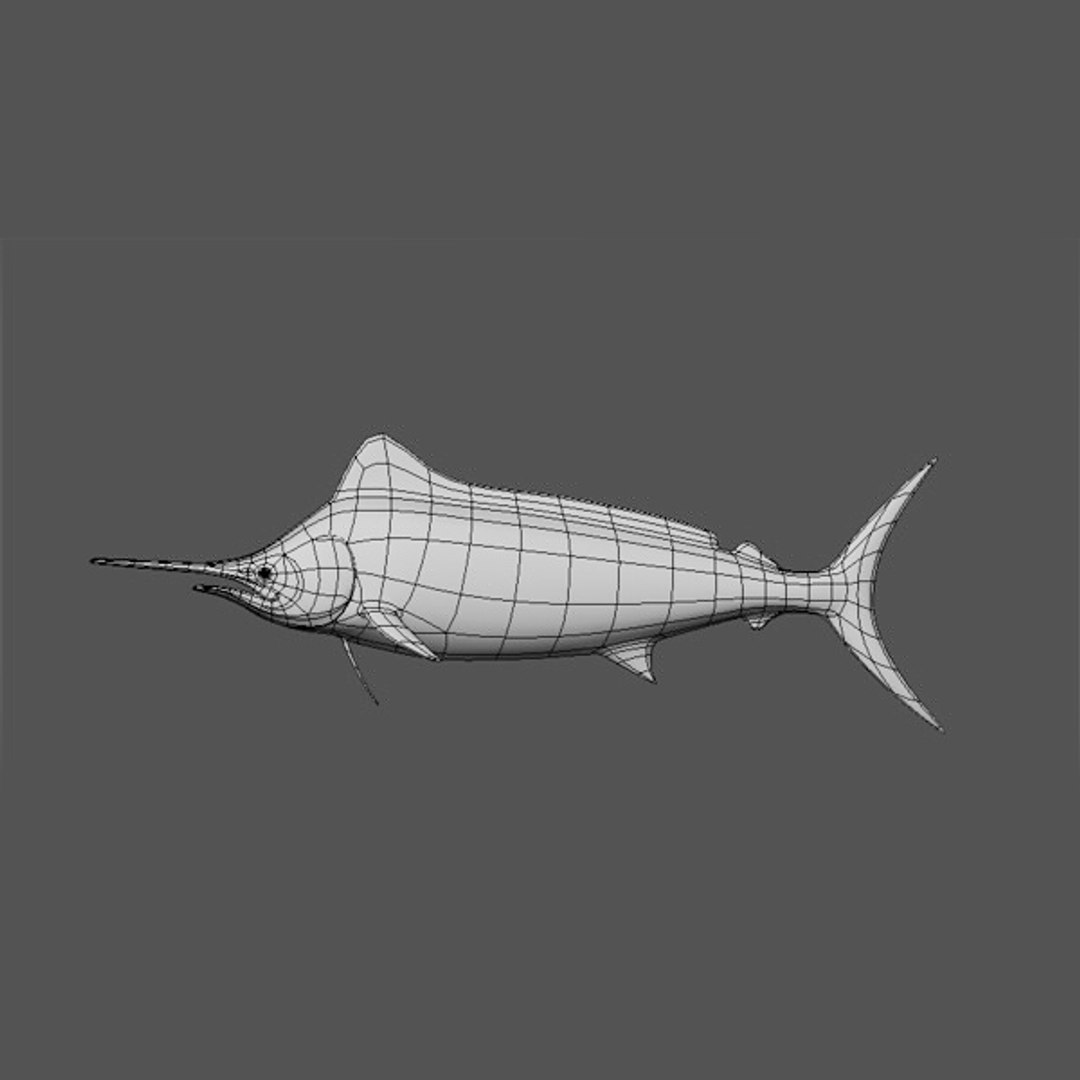 3d Model Blue Marlin