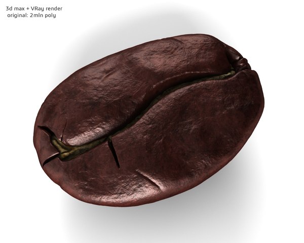 3d model coffee bean