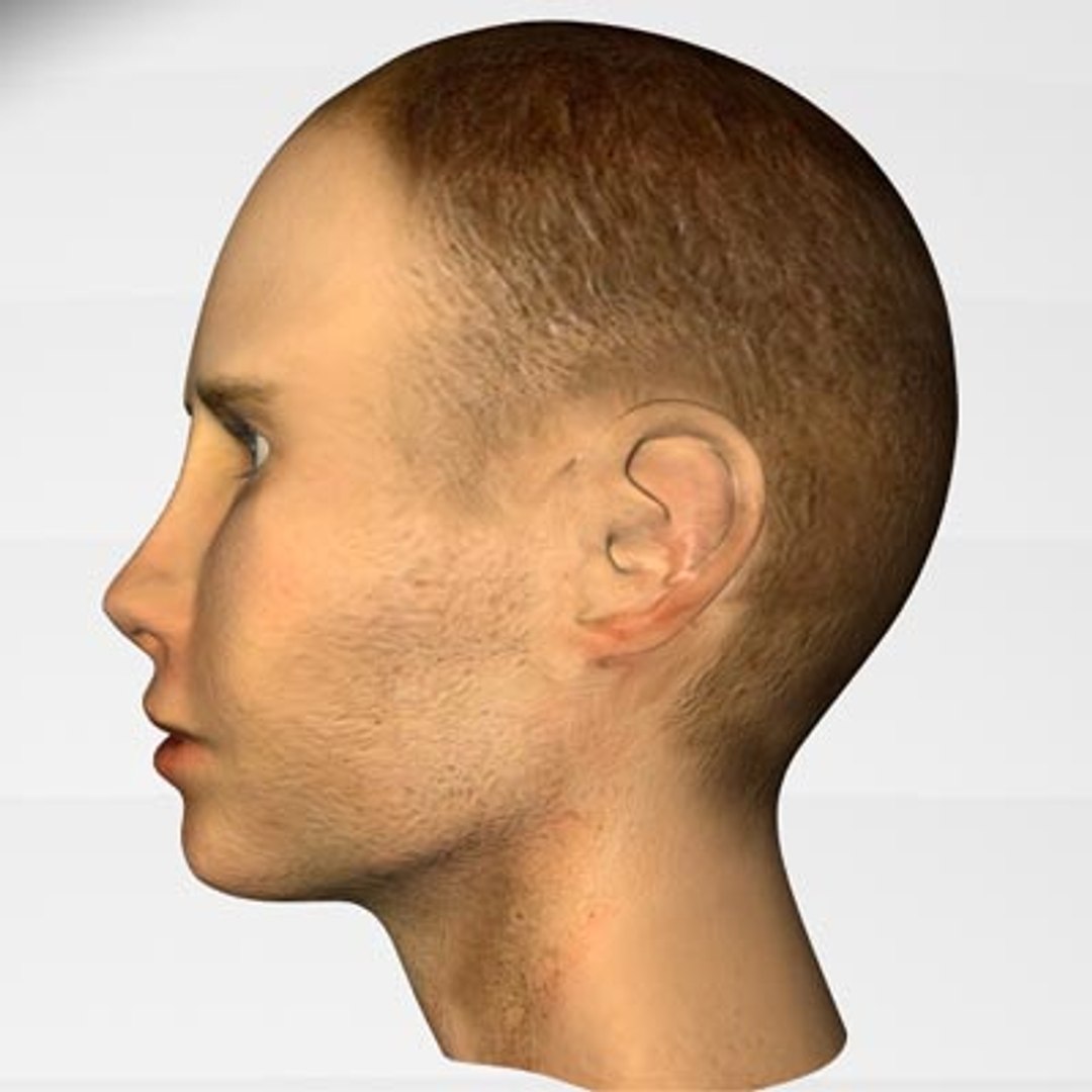 Free 3ds Model Head