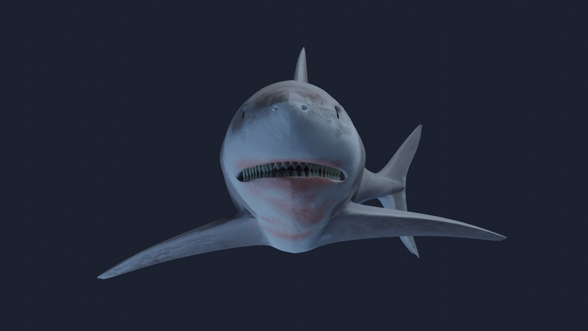 3D Shark Realistic - TurboSquid 1595285