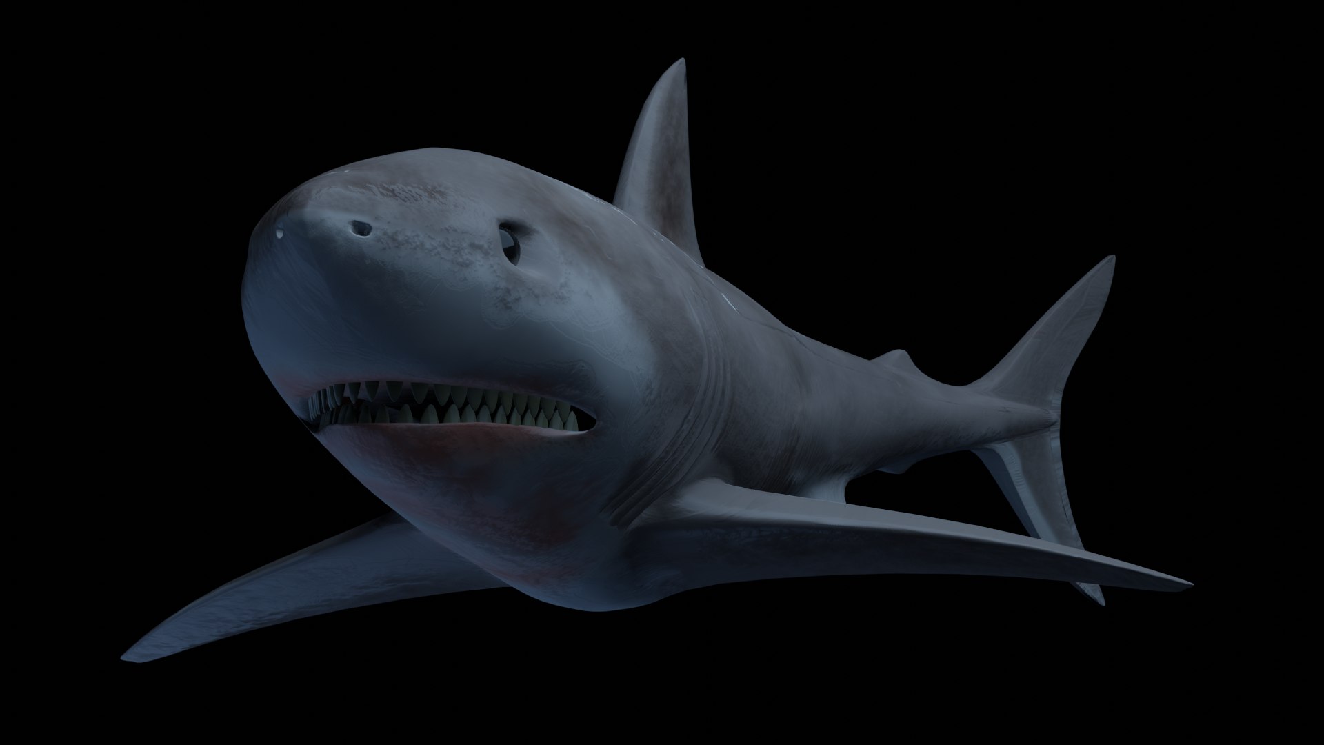 3D Shark Realistic - TurboSquid 1595285