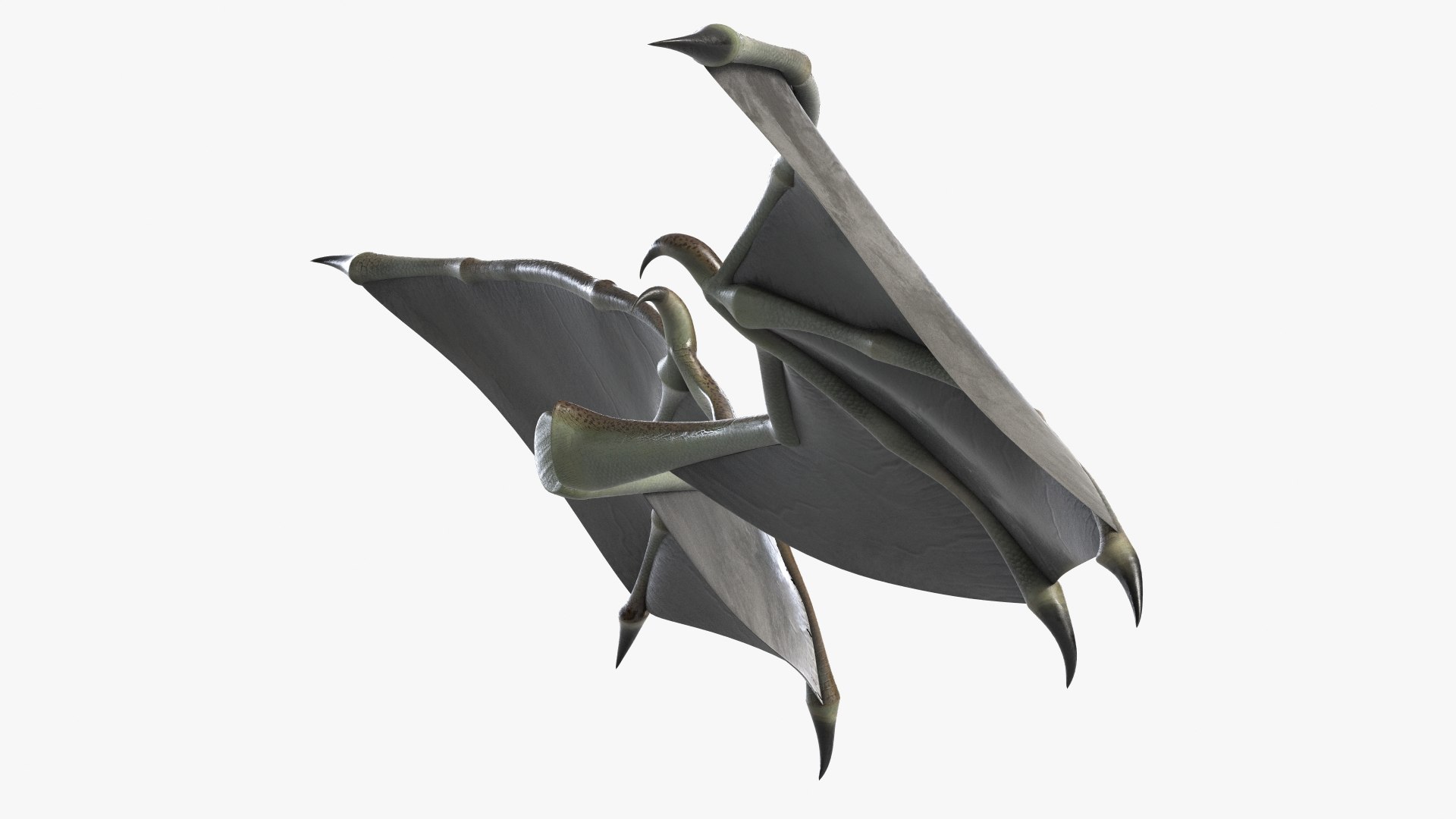 Demon Wings 3 Pose 3D Model - TurboSquid 1427765