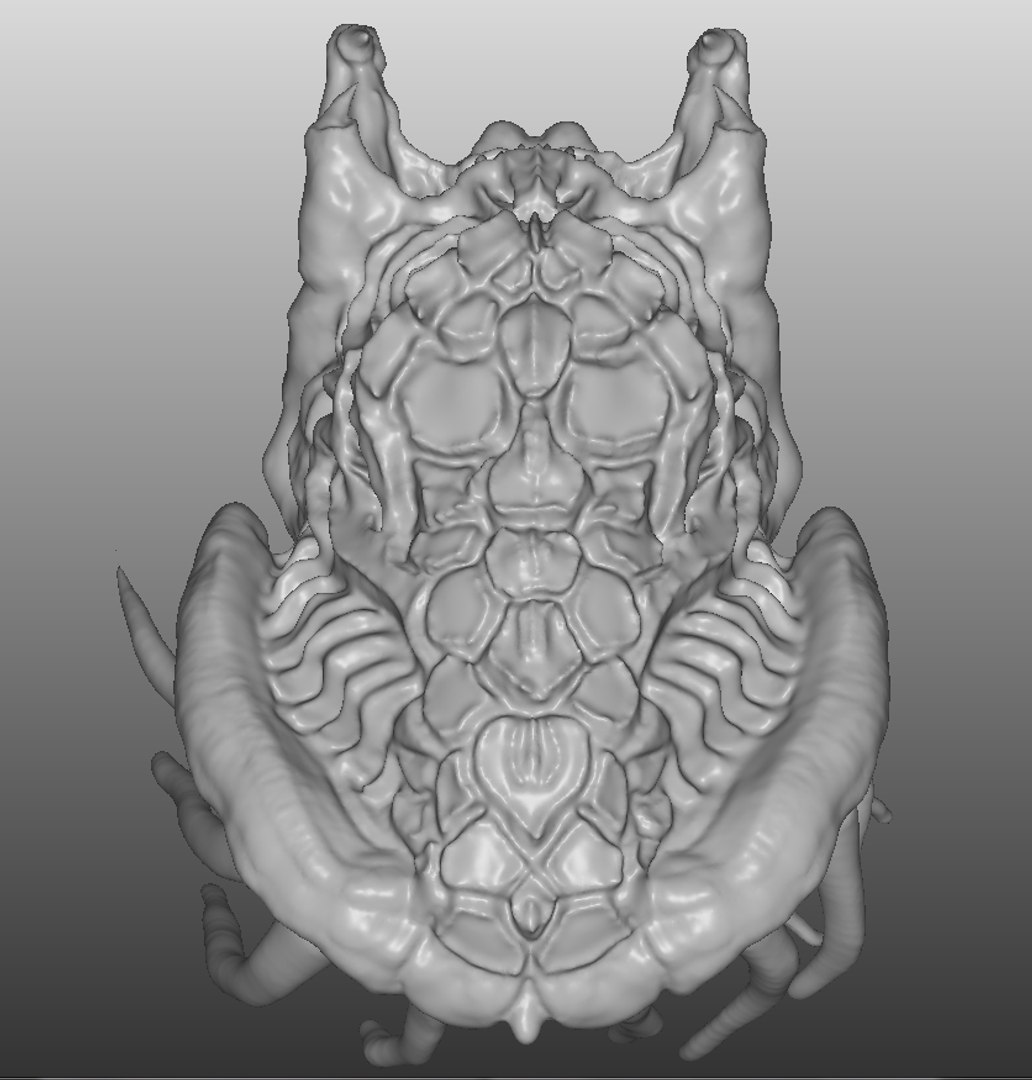 3D Yautja Alien Predator - TurboSquid 1217132