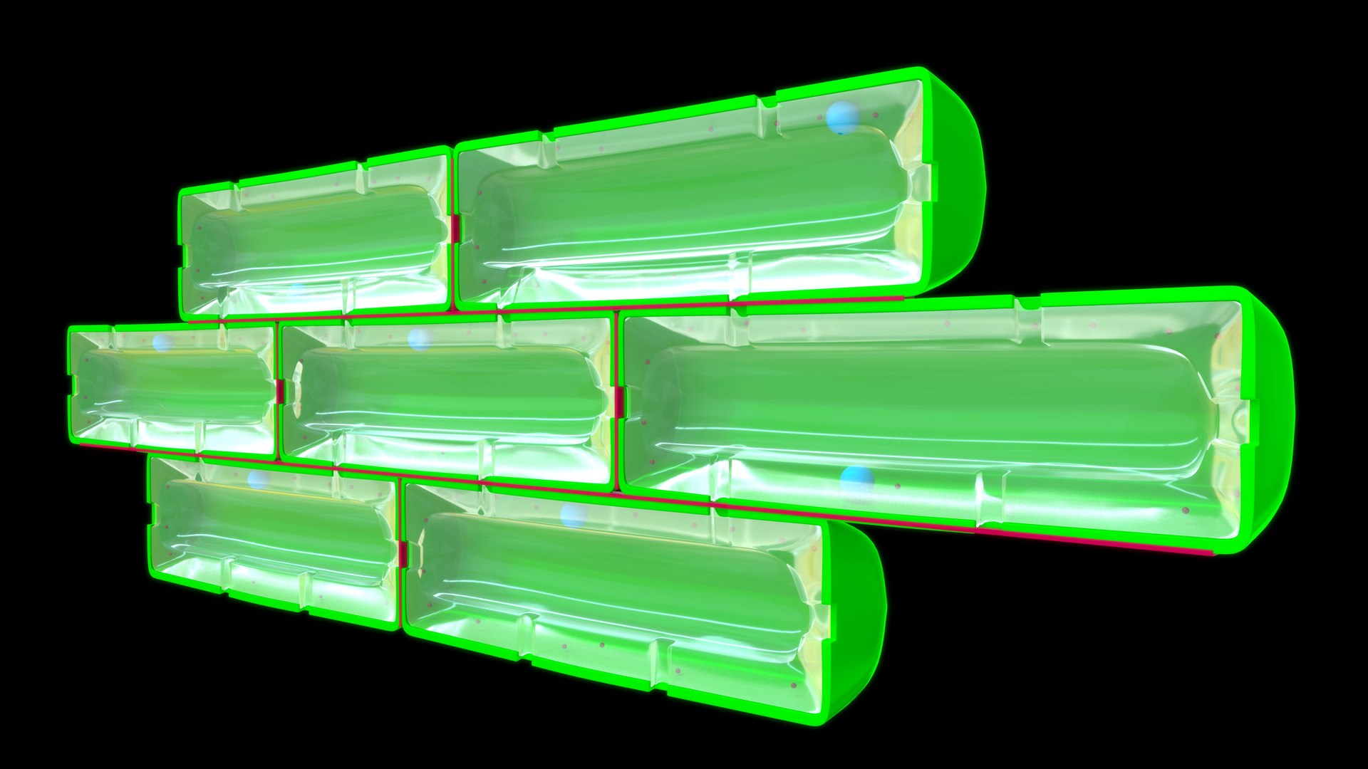 Ray Cells Xylem Parenchyma Section 3D Model - TurboSquid 2197728