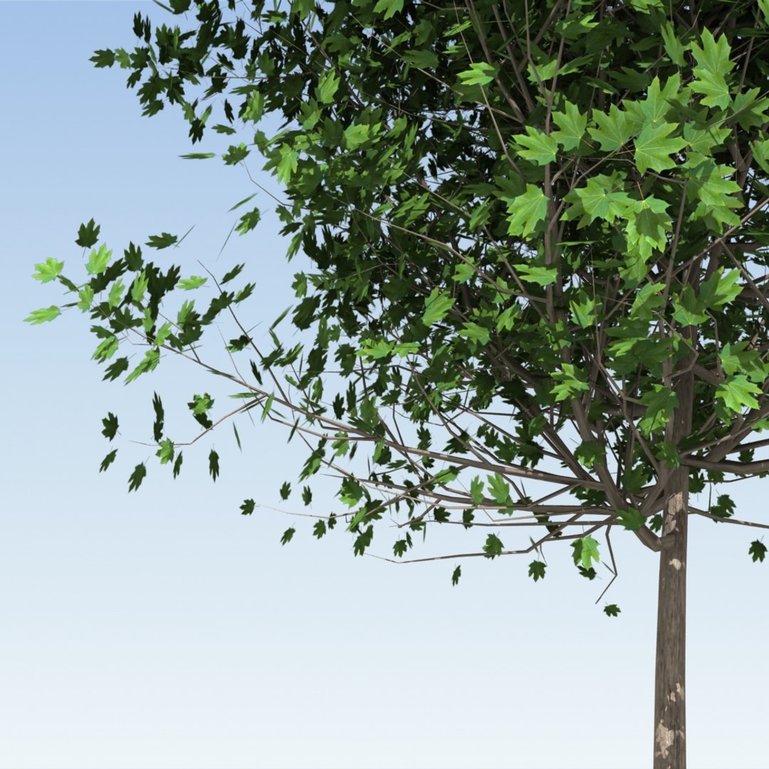 Tree - 3d Max