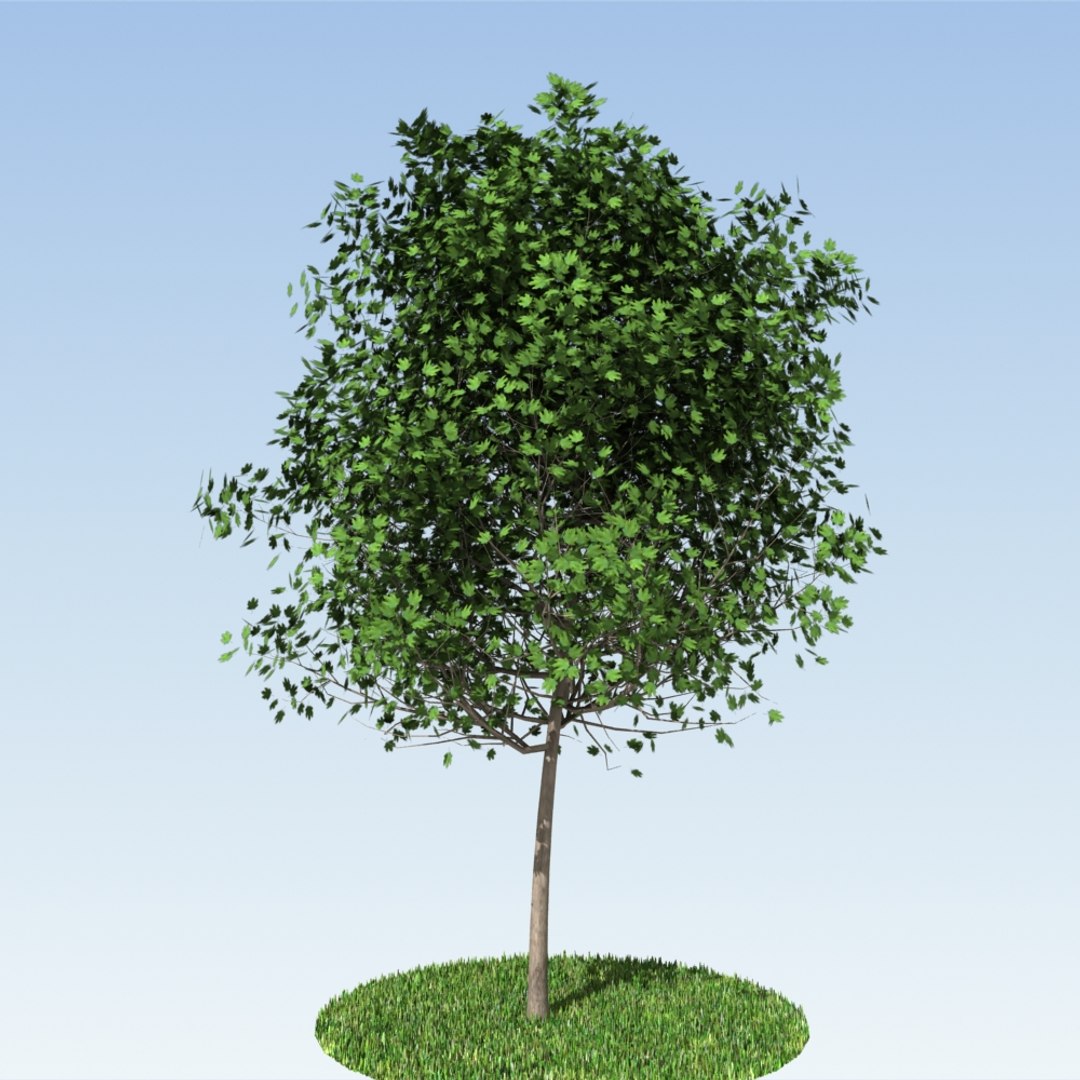 Tree - 3d Max