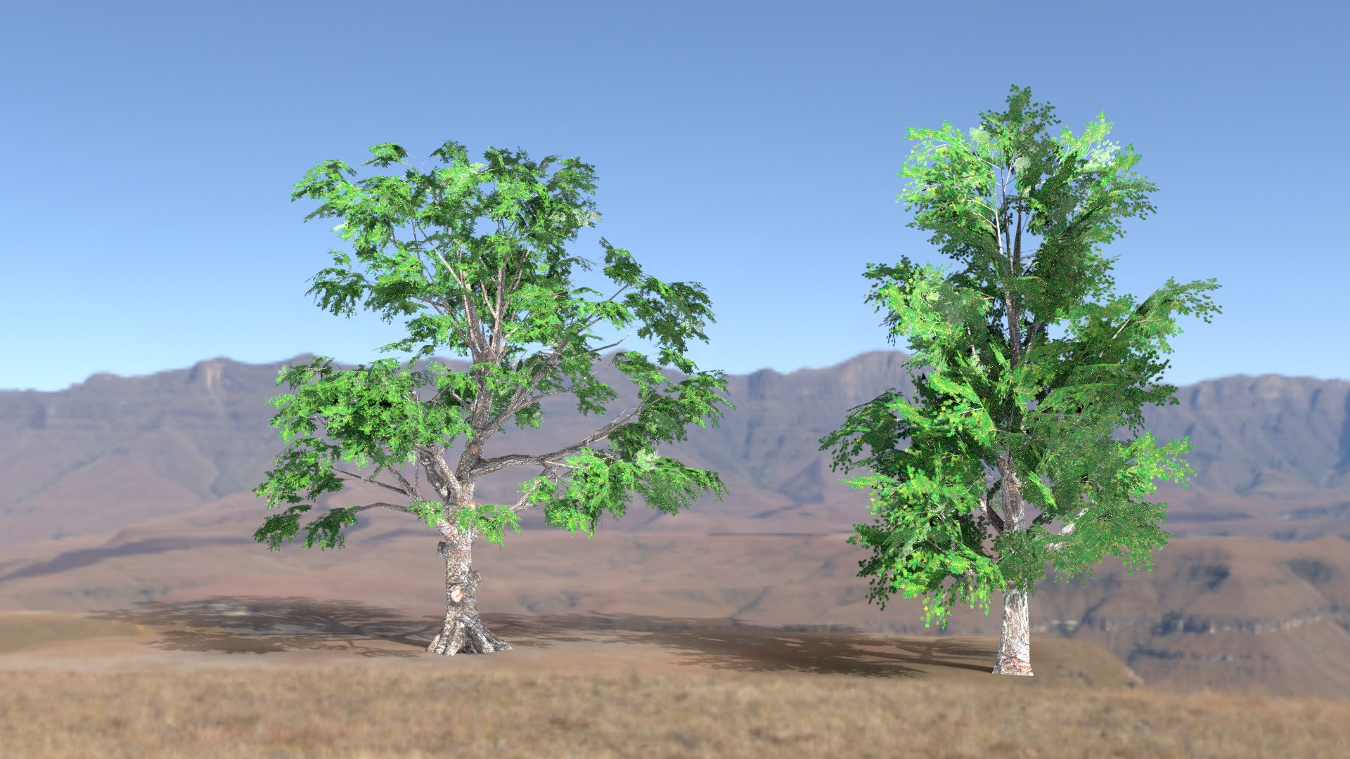 3D High Quality Trees For VR - TurboSquid 2430528