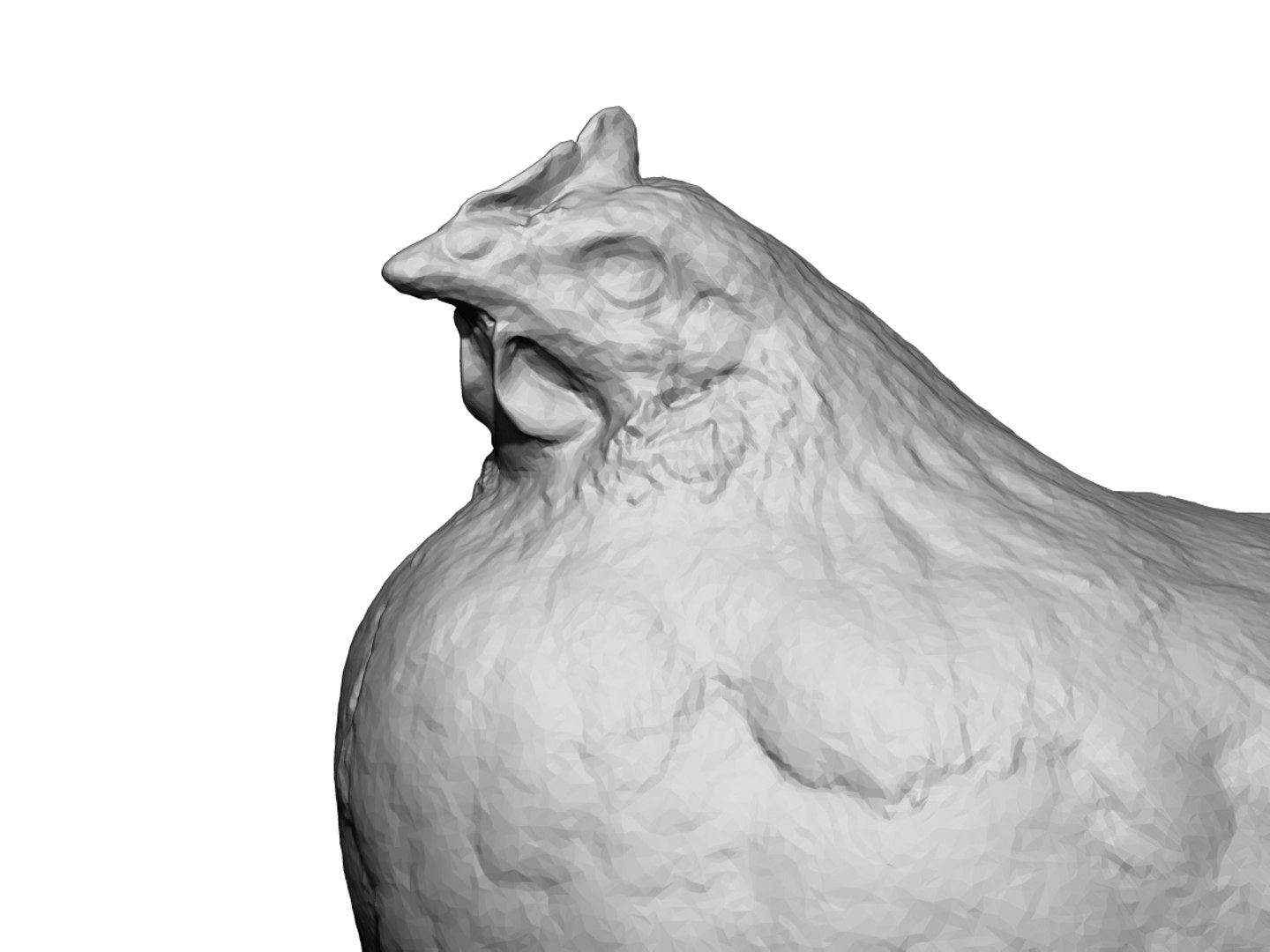 Real Chicken Scanned 3D Model - TurboSquid 1387066