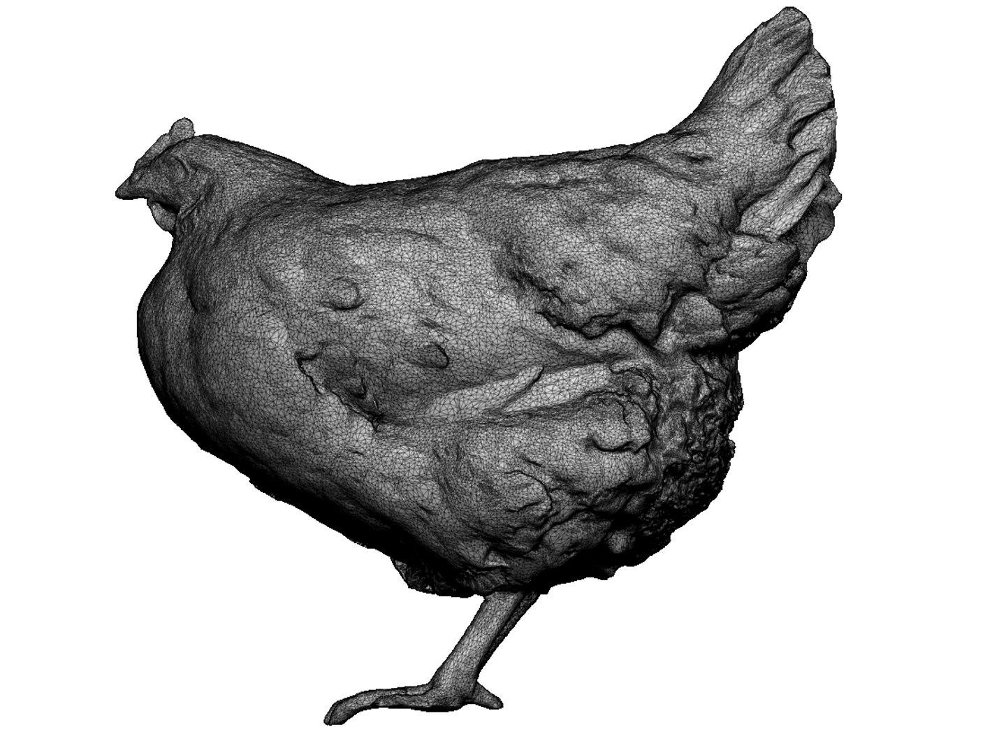 Real Chicken Scanned 3D Model - TurboSquid 1387066