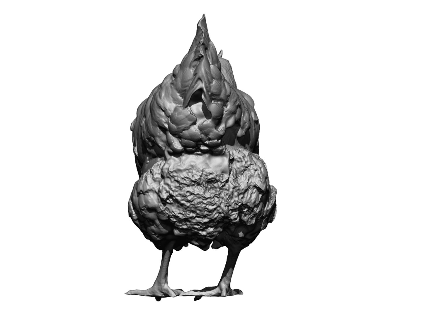 Real Chicken Scanned 3D Model - TurboSquid 1387066