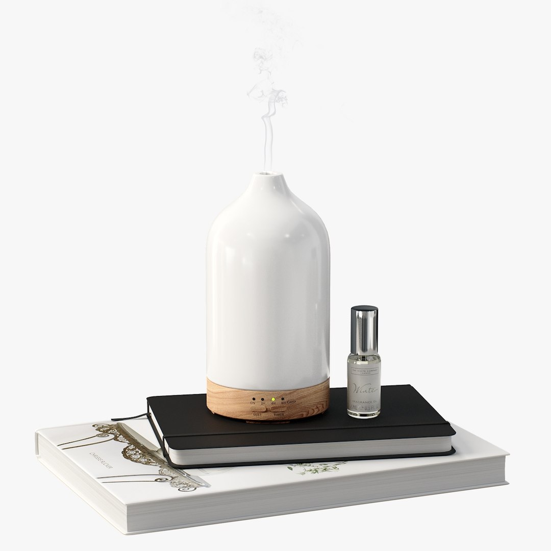 modelo 3d Decor Set 17 Diffuser with books - TurboSquid 2059687