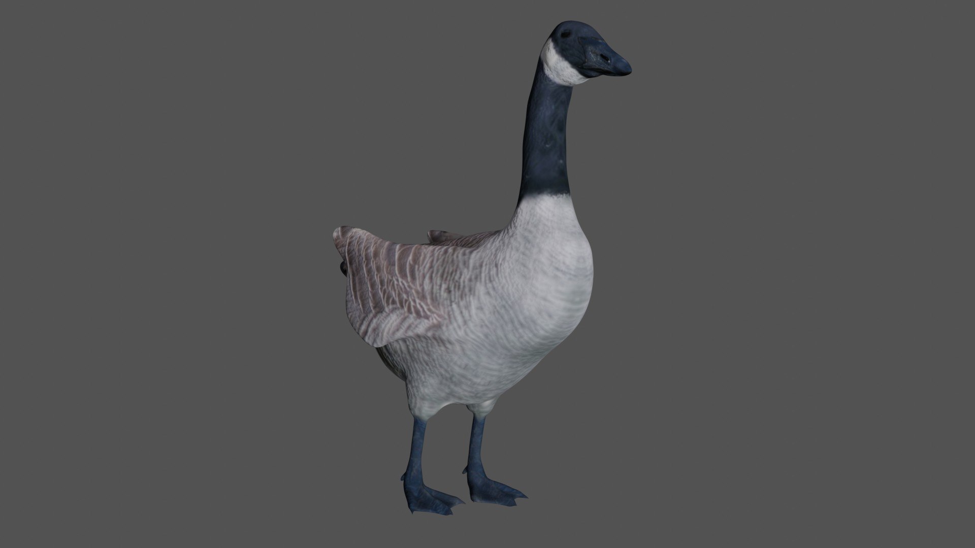 3D Canadian Goose Model - TurboSquid 1747780