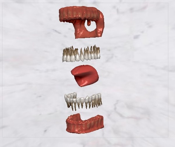 3D model piggy - TurboSquid 1545478