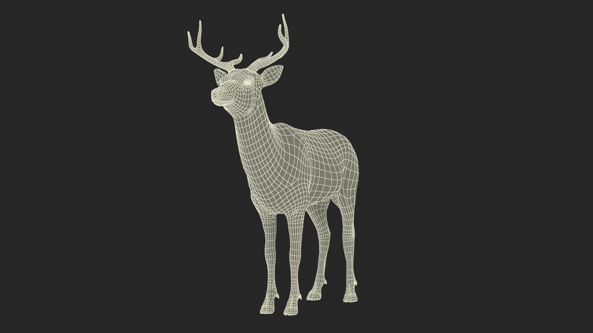 White-Tailed Deer Fur For Maya 3D - TurboSquid 2395944