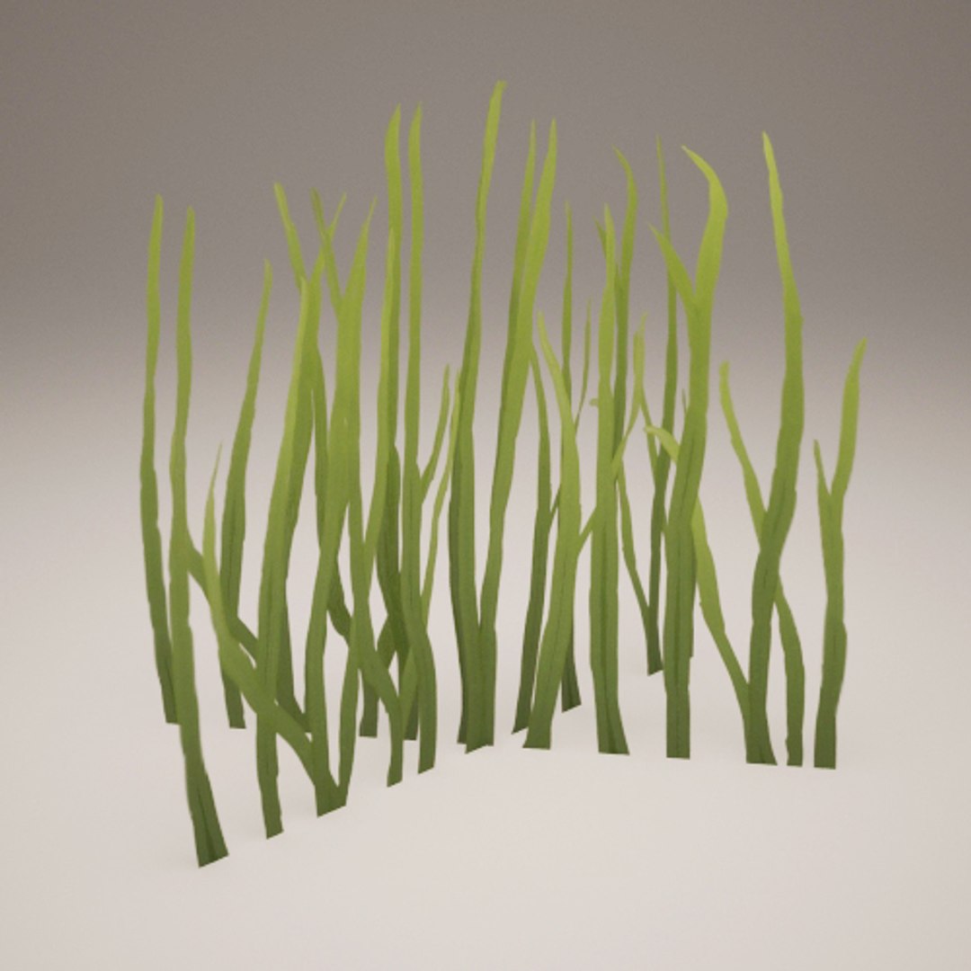 Free Grass 3d Model