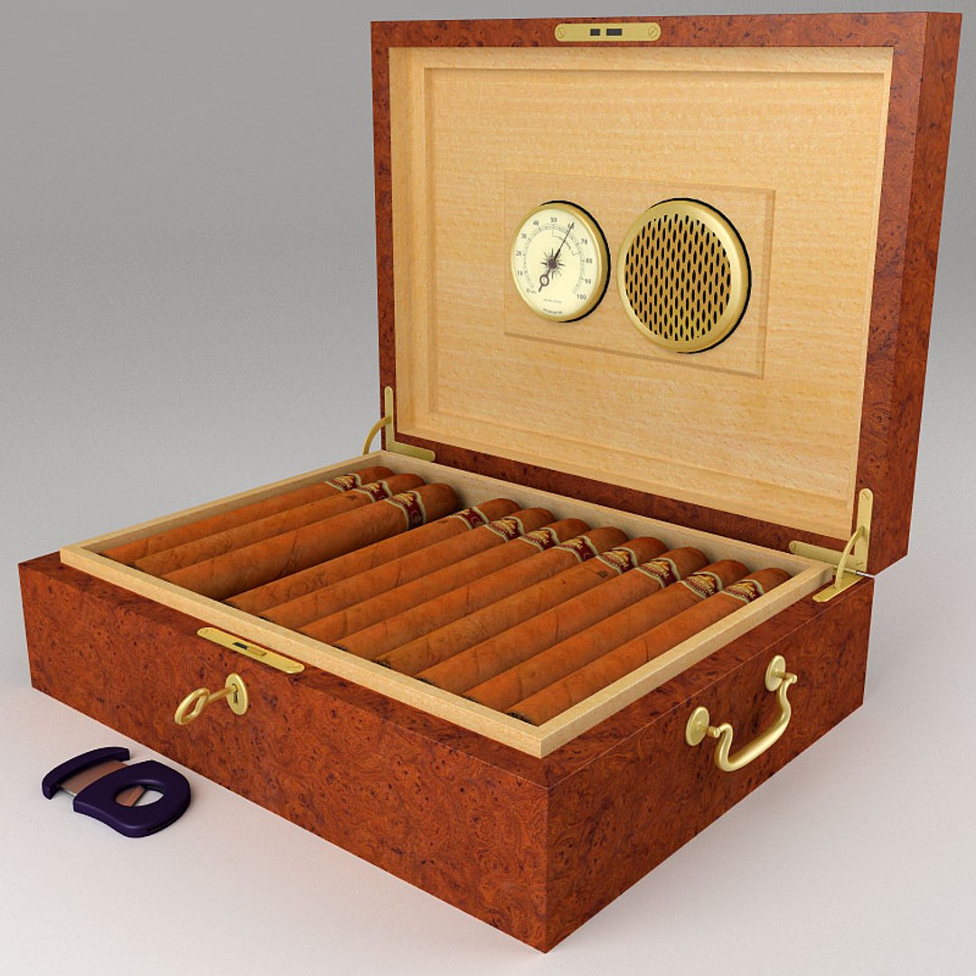 Cigars Humidor 3d Model
