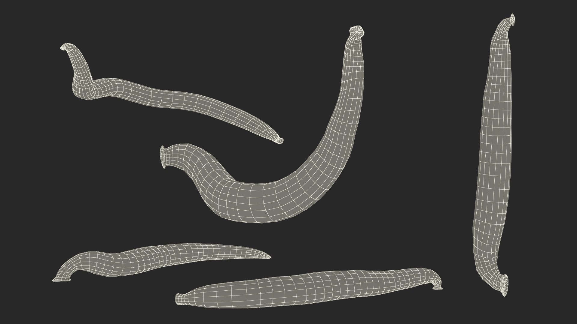 Glass Full Of Medicinal Leeches Model - TurboSquid 2080768