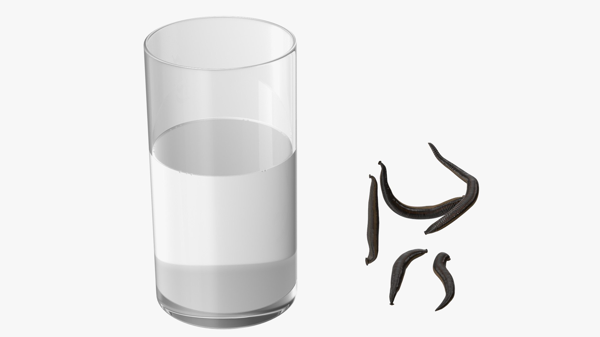 Glass Full Of Medicinal Leeches Model - TurboSquid 2080768