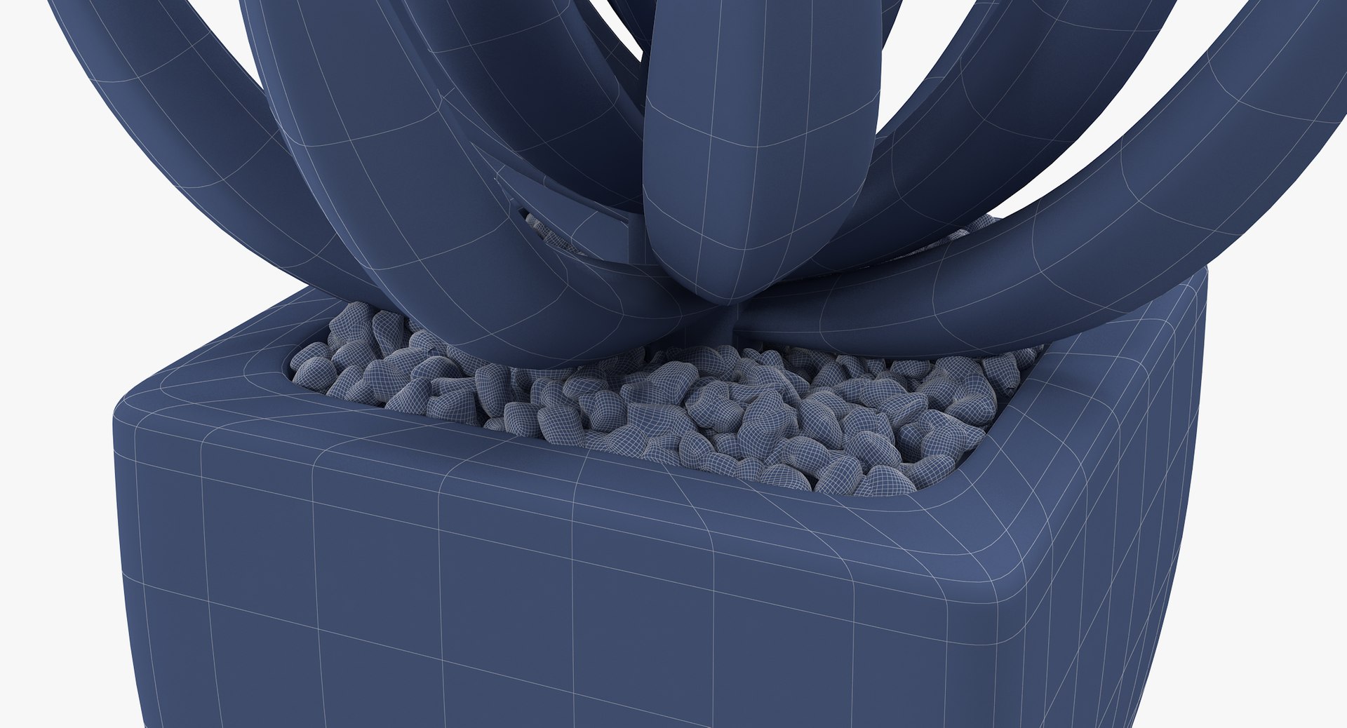 3d Succulent 01 Model