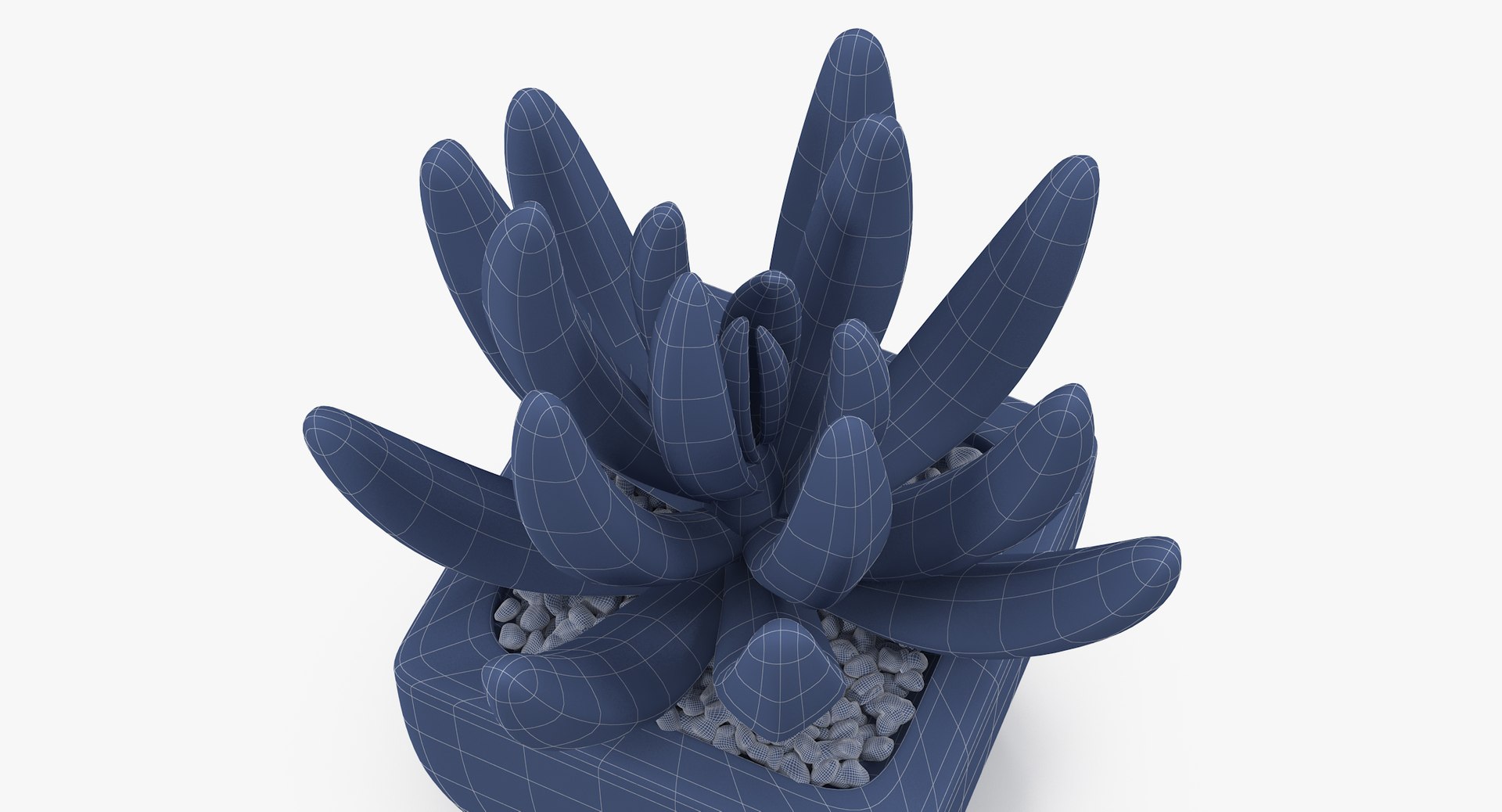 3d Succulent 01 Model