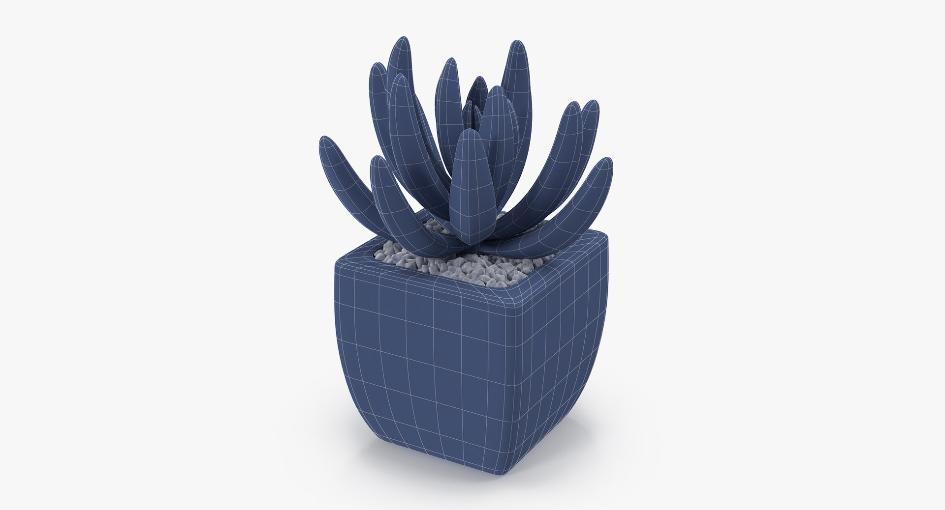 3d Succulent 01 Model