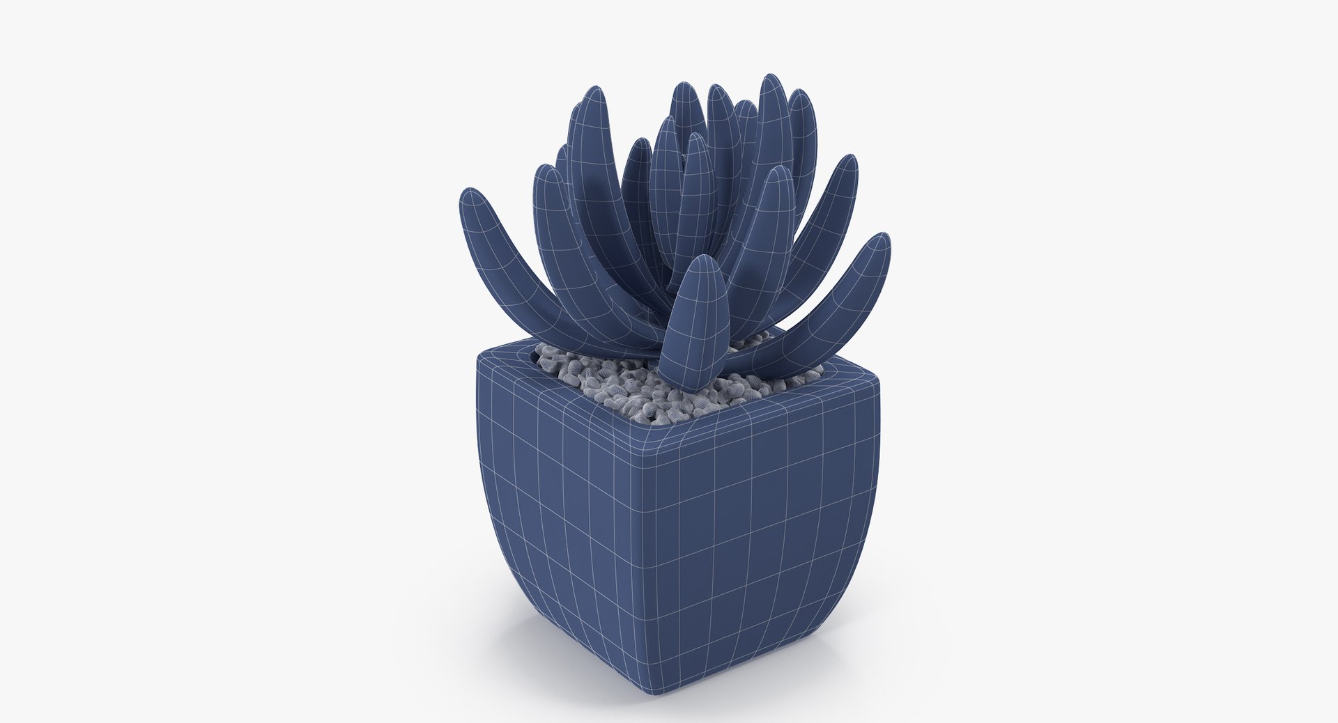 3d Succulent 01 Model