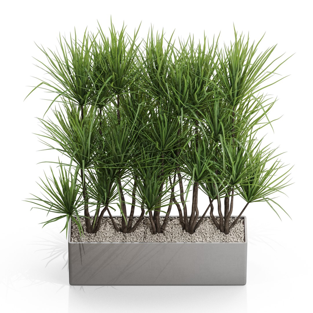 3D Plants collection 684 - TurboSquid 1893946