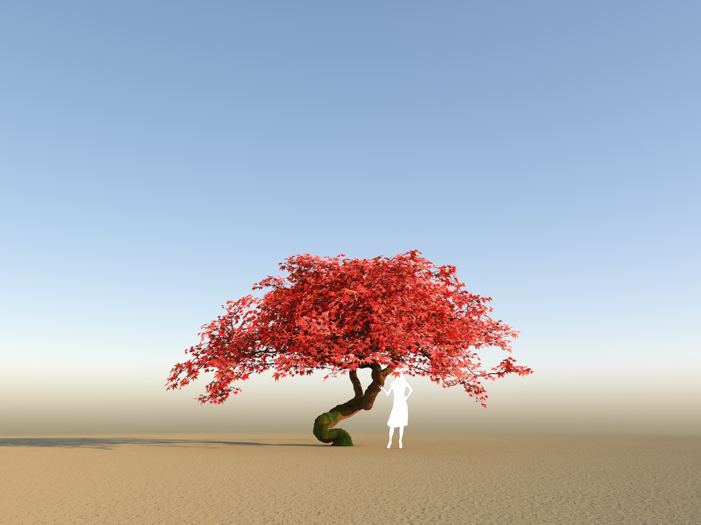 Japanese Maple Model - TurboSquid 1929739