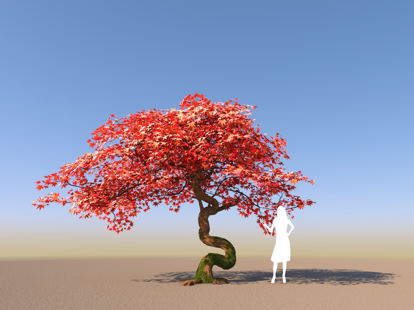 Japanese Maple Model - TurboSquid 1929739