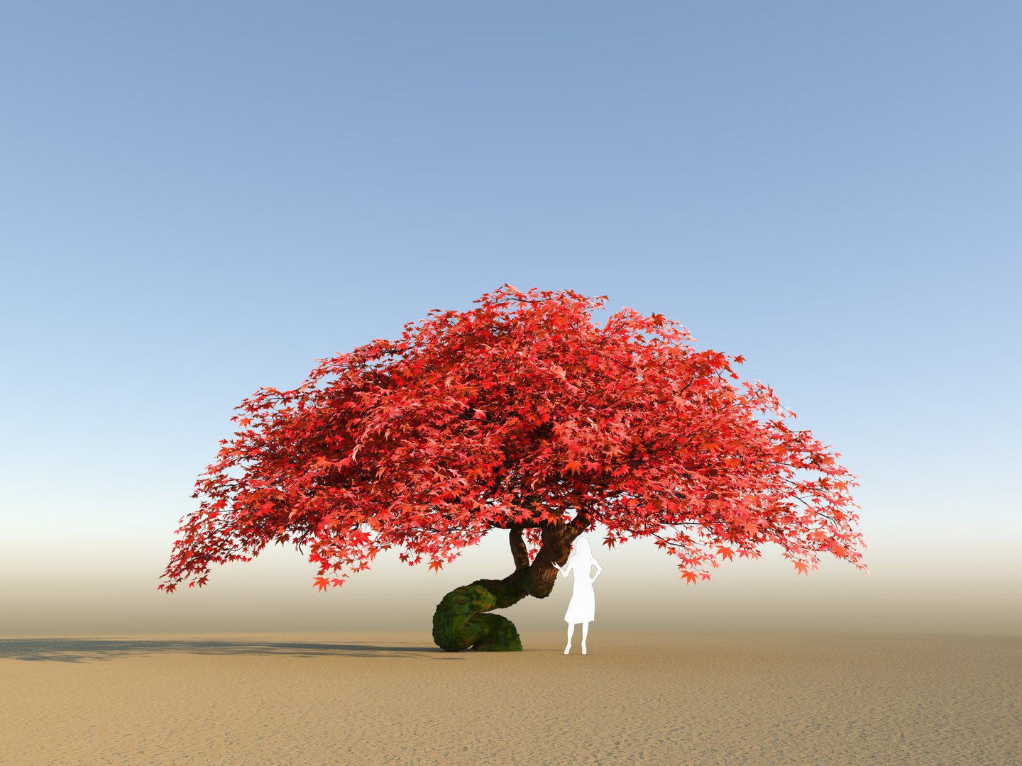 Japanese Maple Model - TurboSquid 1929739