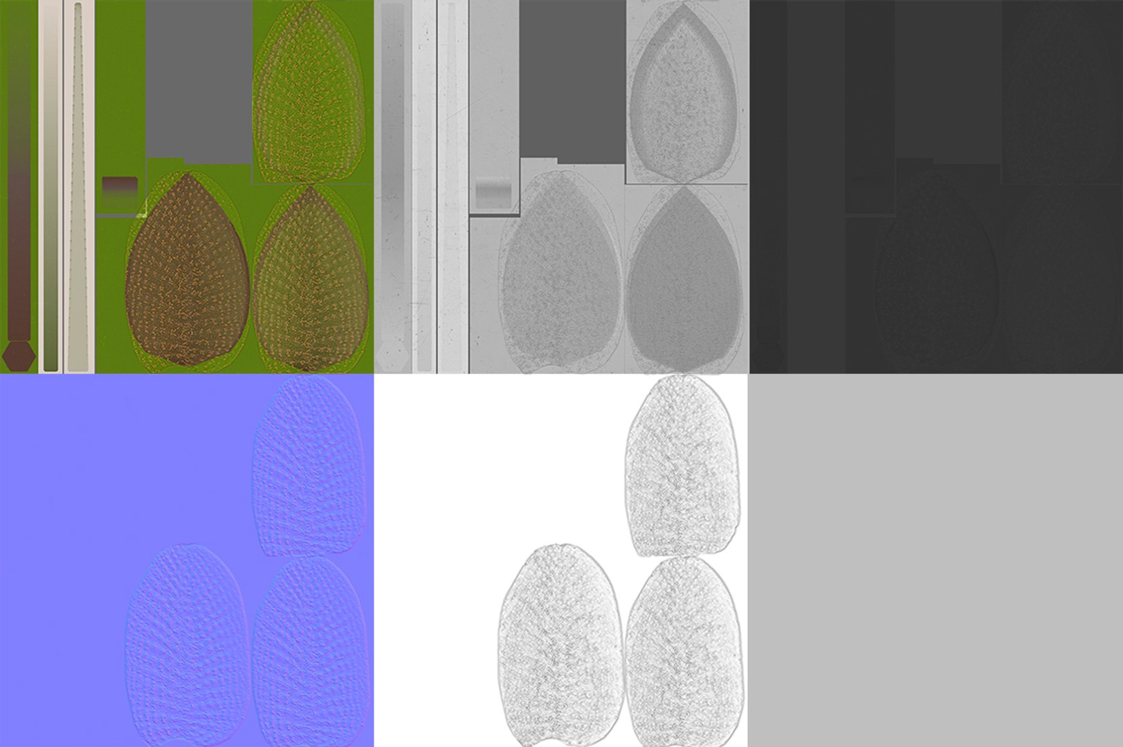 3D Salviniya Ushastaya - TurboSquid 2037517